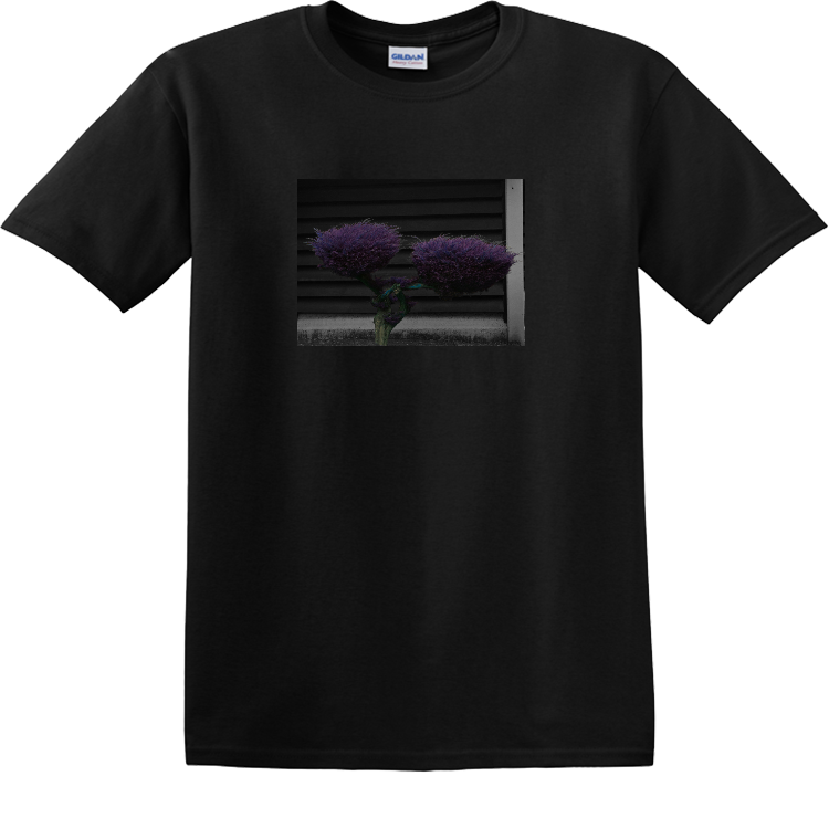 zen Men's 100% Cotton T-Shirts Gildan 5000