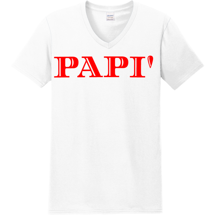 PAPI Men's 100% Cotton T-Shirts Gildan 64V00