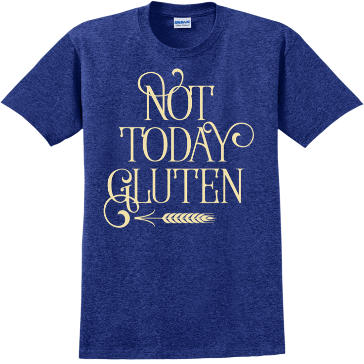 AP Adult 100% Cotton T-Shirts Gildan 2000