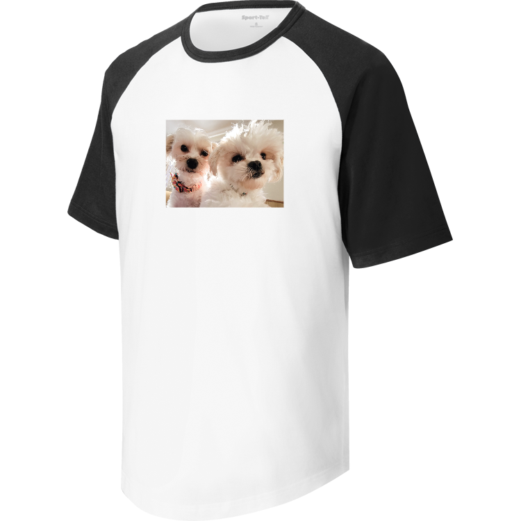 waylon and murphy Men's 100% Cotton T-Shirts Alternative T201